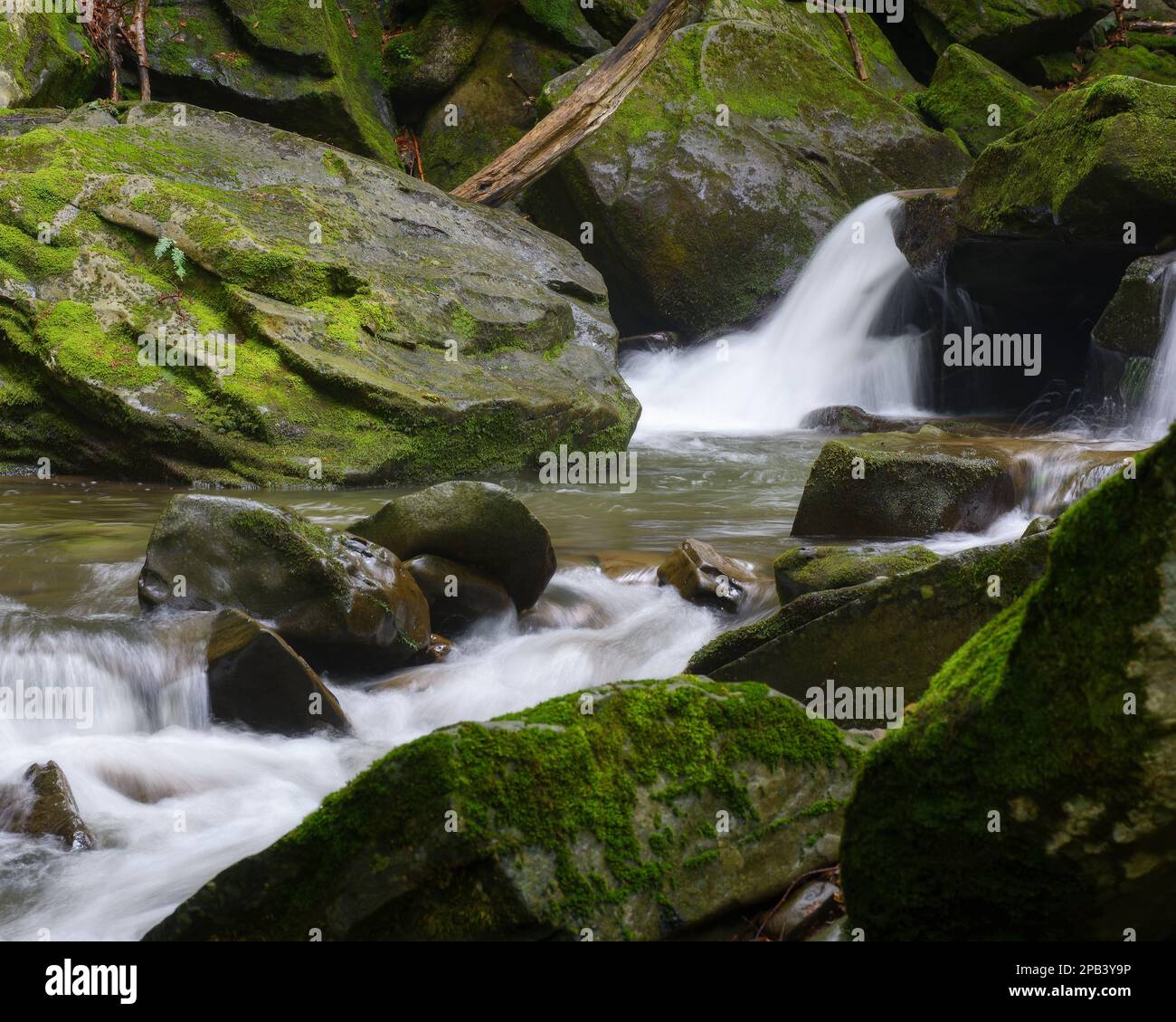 rocks in the creek. peaceful woodland landscape. purity in nature Stock ...