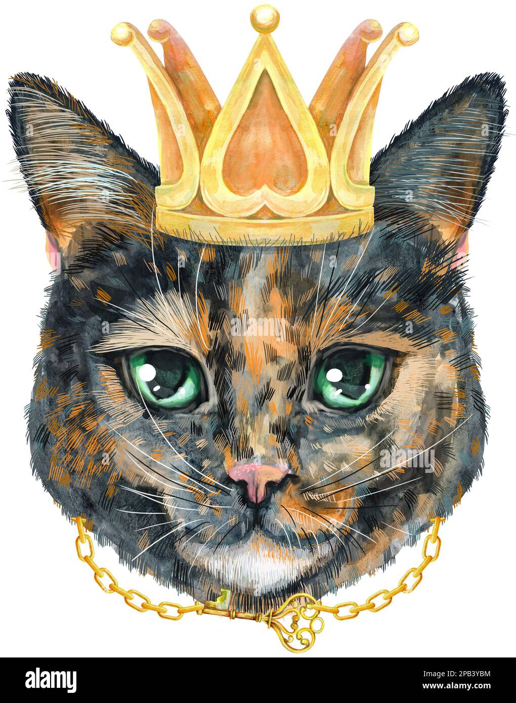 Cute cat in golden crown. Cat for t-shirt graphics. Watercolor Short ...