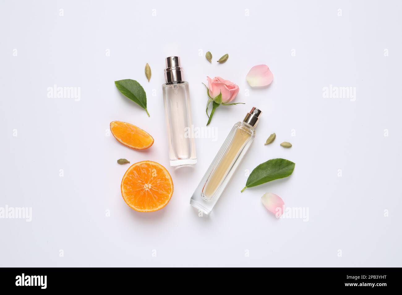 Flat lay composition with bottles of perfume, beautiful flower and tangerine on white background ...