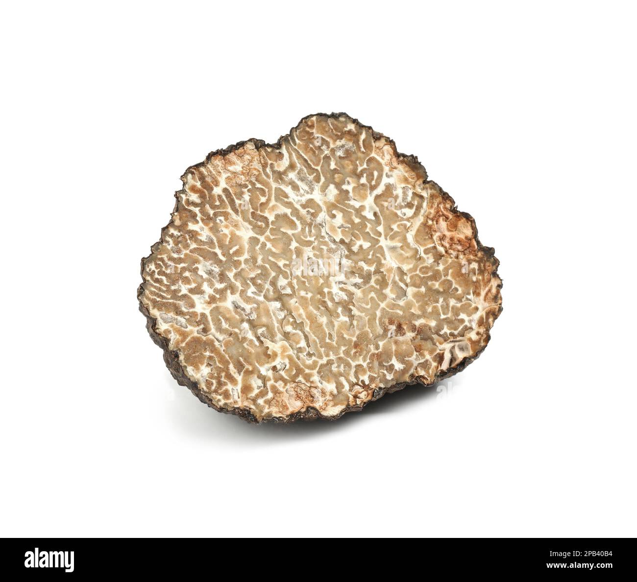Cut fresh black truffle isolated on white Stock Photo - Alamy