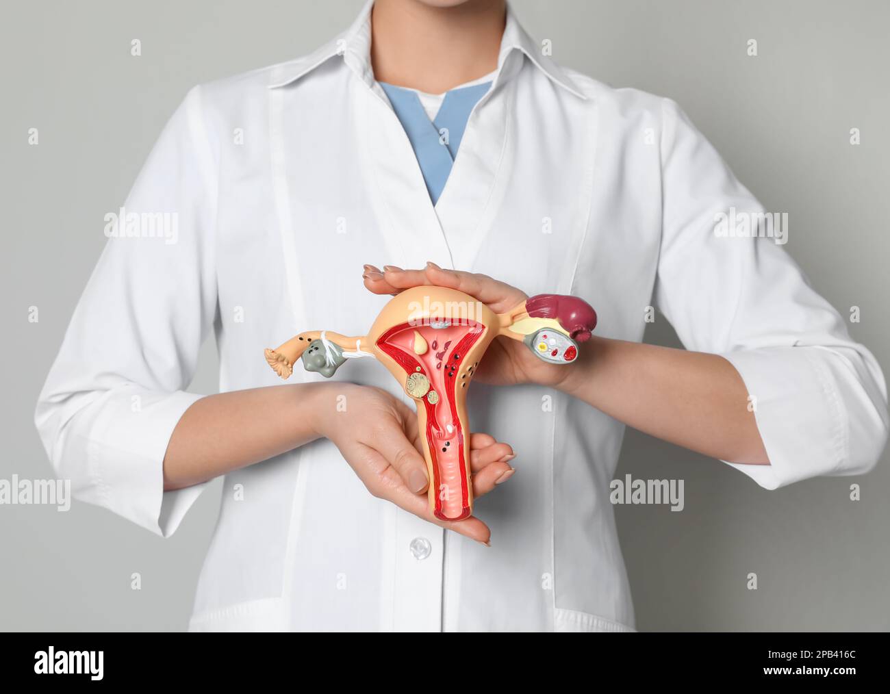 Doctor demonstrating model of female reproductive system on light grey ...