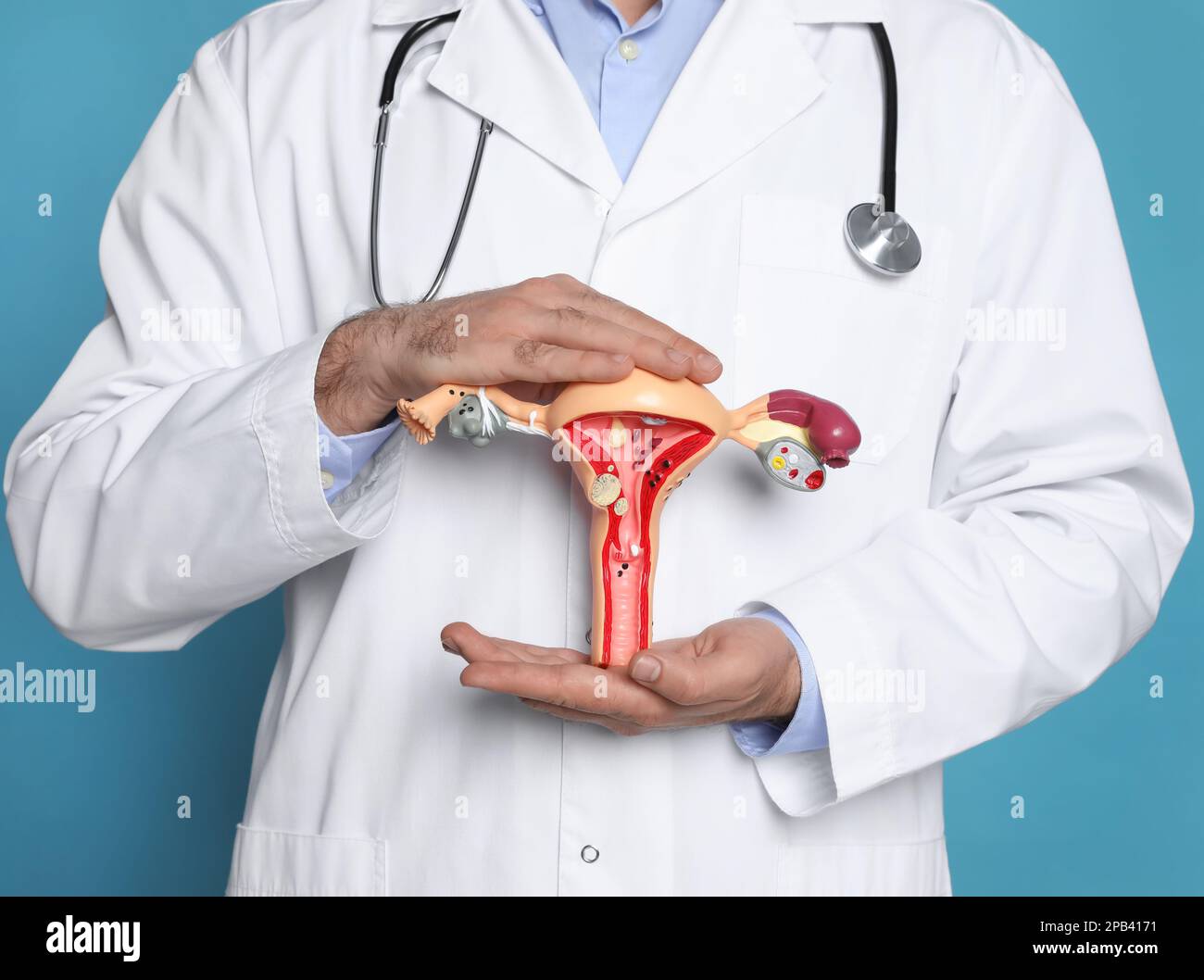 Doctor demonstrating model of female reproductive system on light blue ...