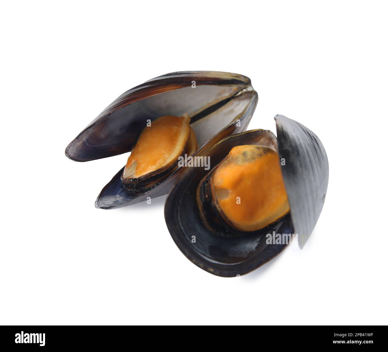 Delicious cooked mussels in shells on white background Stock Photo - Alamy