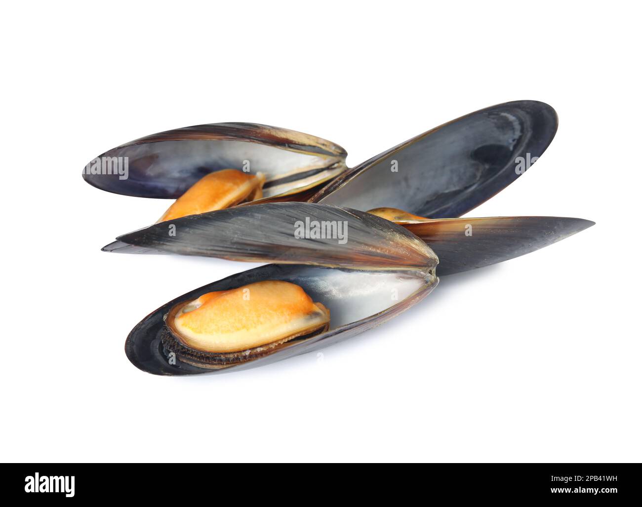 Delicious cooked mussels in shells on white background Stock Photo - Alamy