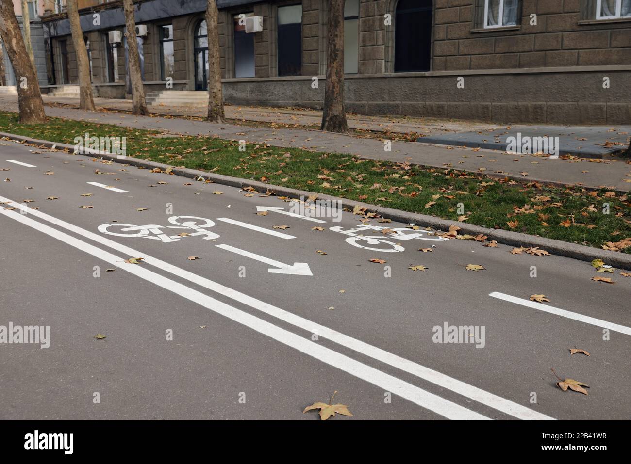 Two way bicycle lane with white signs on asphalt Stock Photo - Alamy