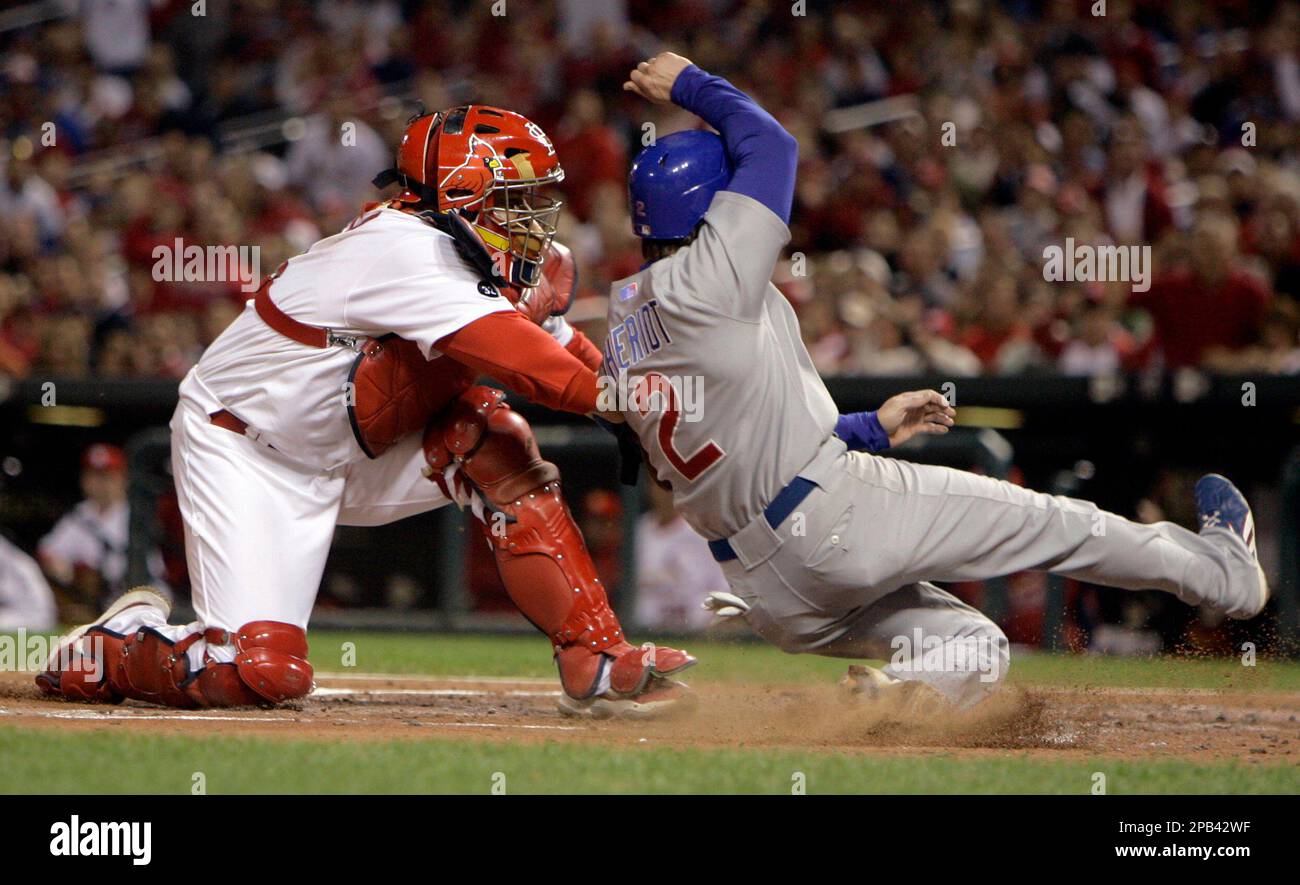 Chicago Cubs' Ryan Theriot, right, is tagged out at home by St. Louis ...