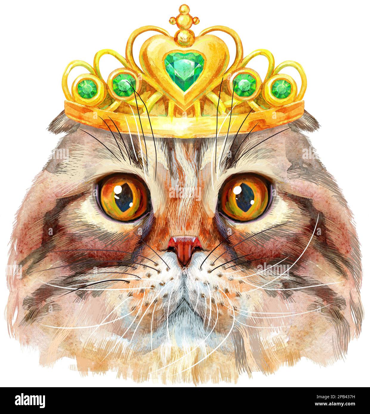 Cute cat in golden crown. Cat for t-shirt graphics. Watercolor Highland ...