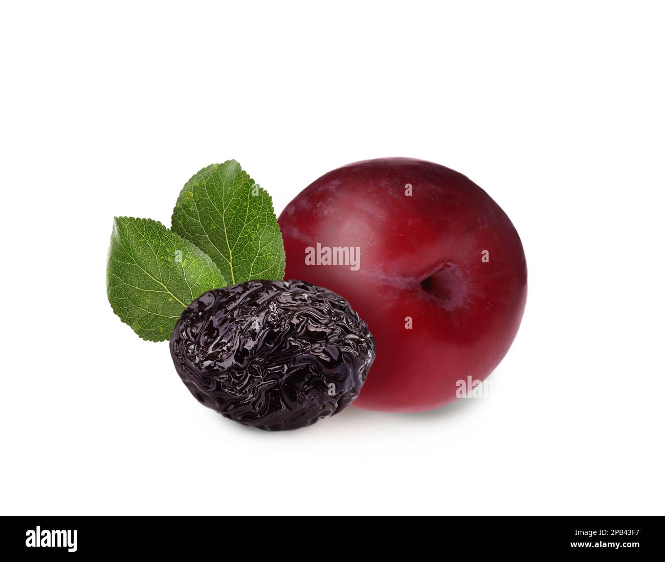 Delicious fresh ripe plum and sweet dried prune on white background ...