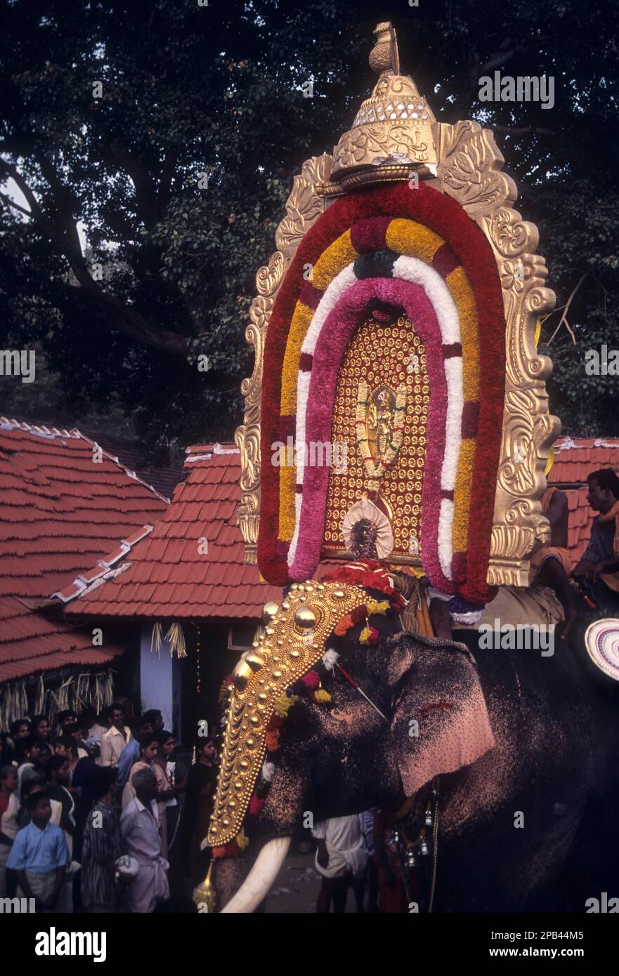 Vallanghy nenmara vela hi-res stock photography and images - Alamy