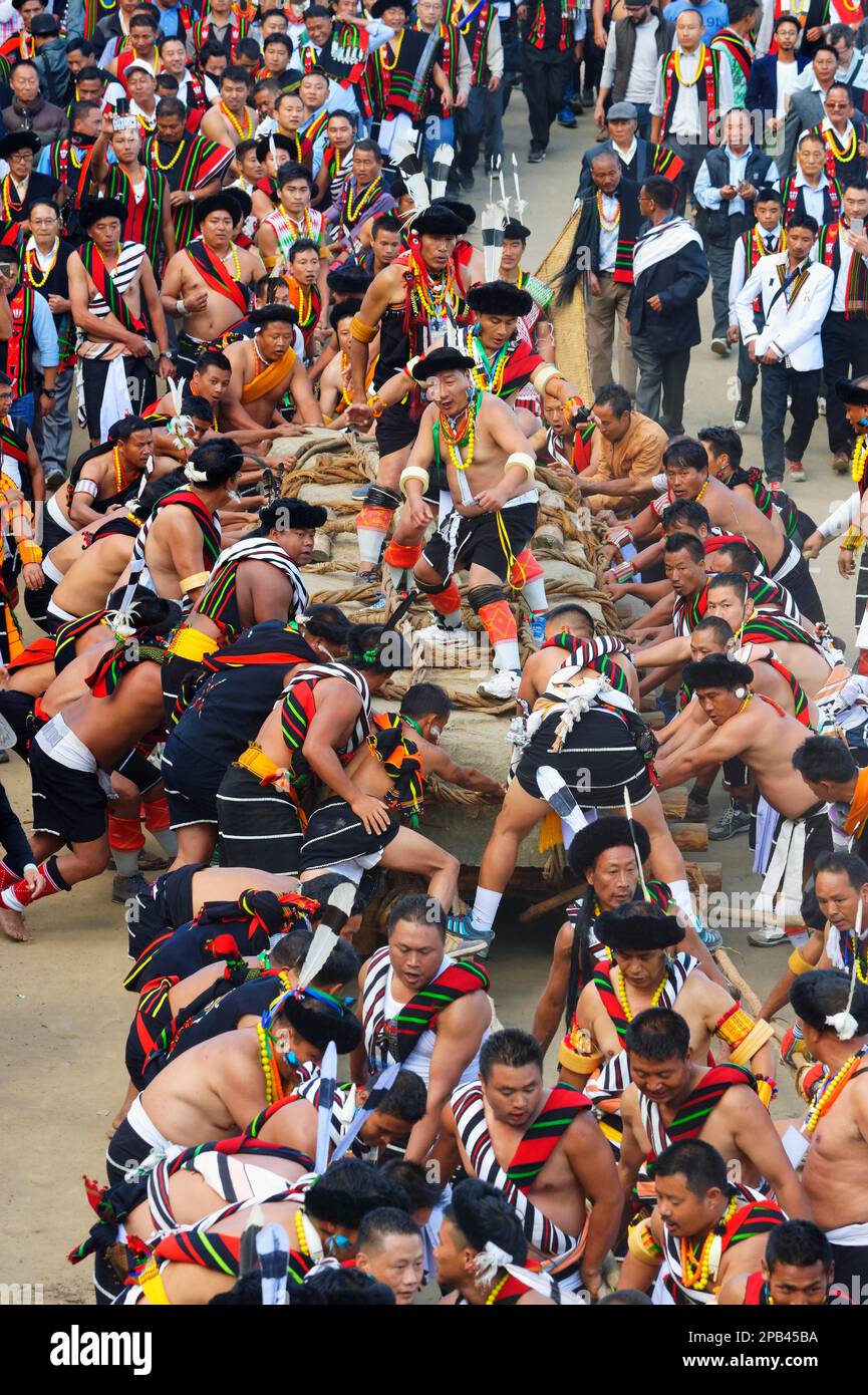 Stone-pulling ceremony during the Kisima Nagaland Hornbill Festival ...