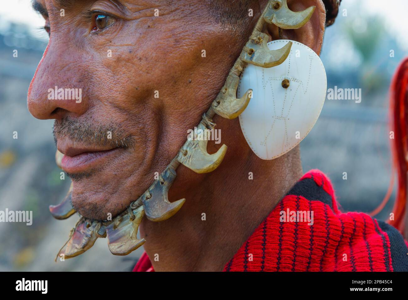 Naga tribesman in traditional dress, Kisima Nagaland Hornbill Festival ...