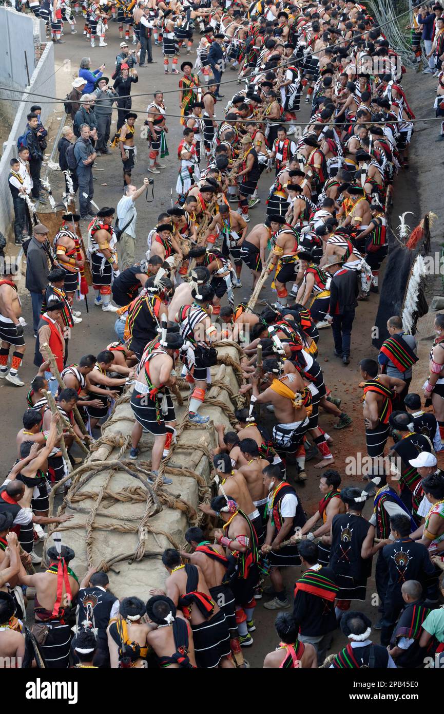 Stone-pulling ceremony during the Kisima Nagaland Hornbill Festival ...