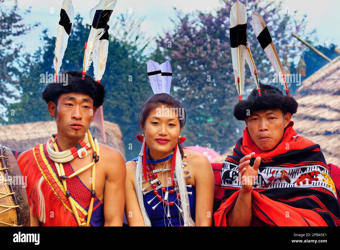 Group of Naga tribesmen in traditional dress, Kisima Nagaland Hornbill ...