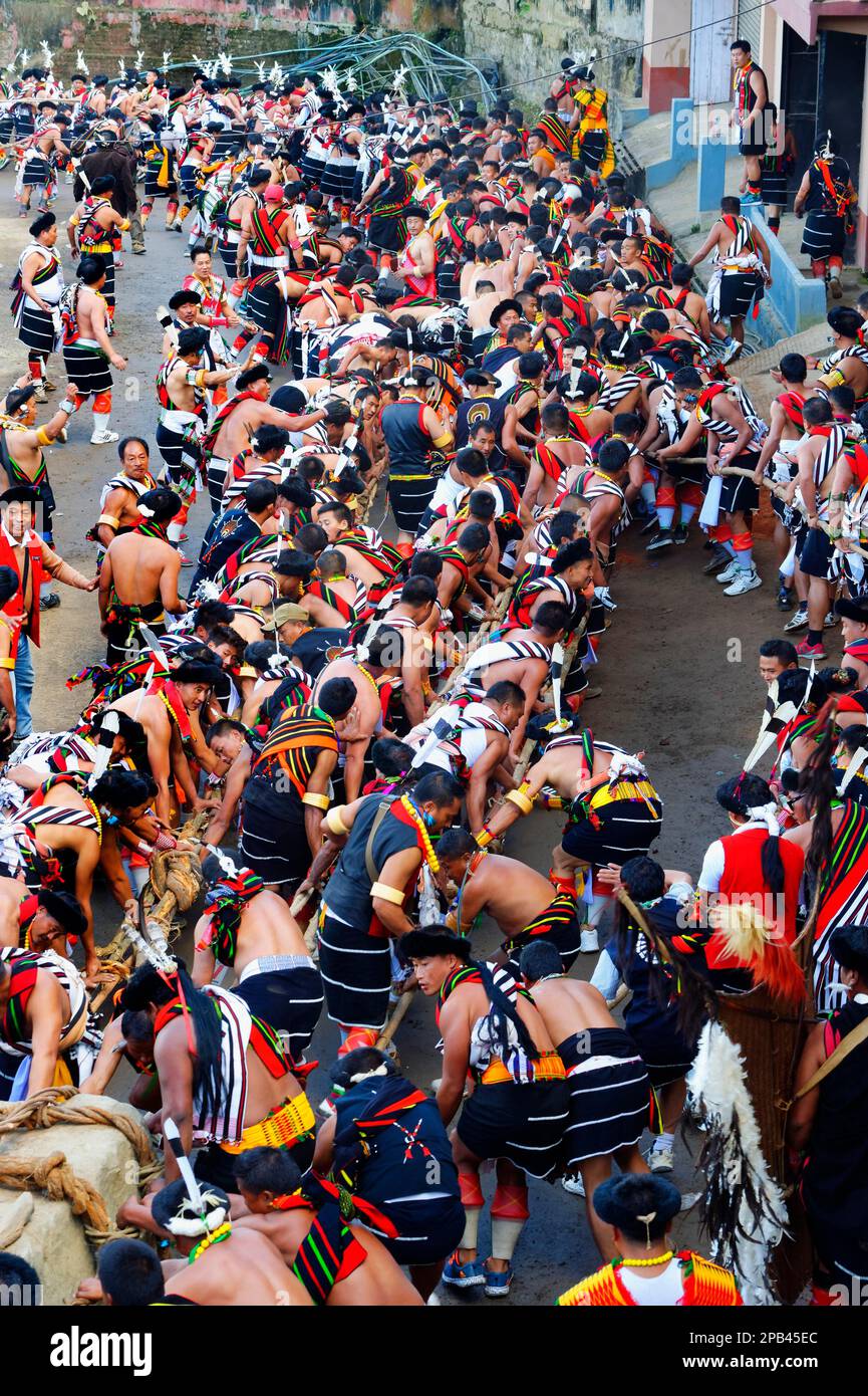 Naga tribesmen participating in the stone-pulling ceremony during the ...