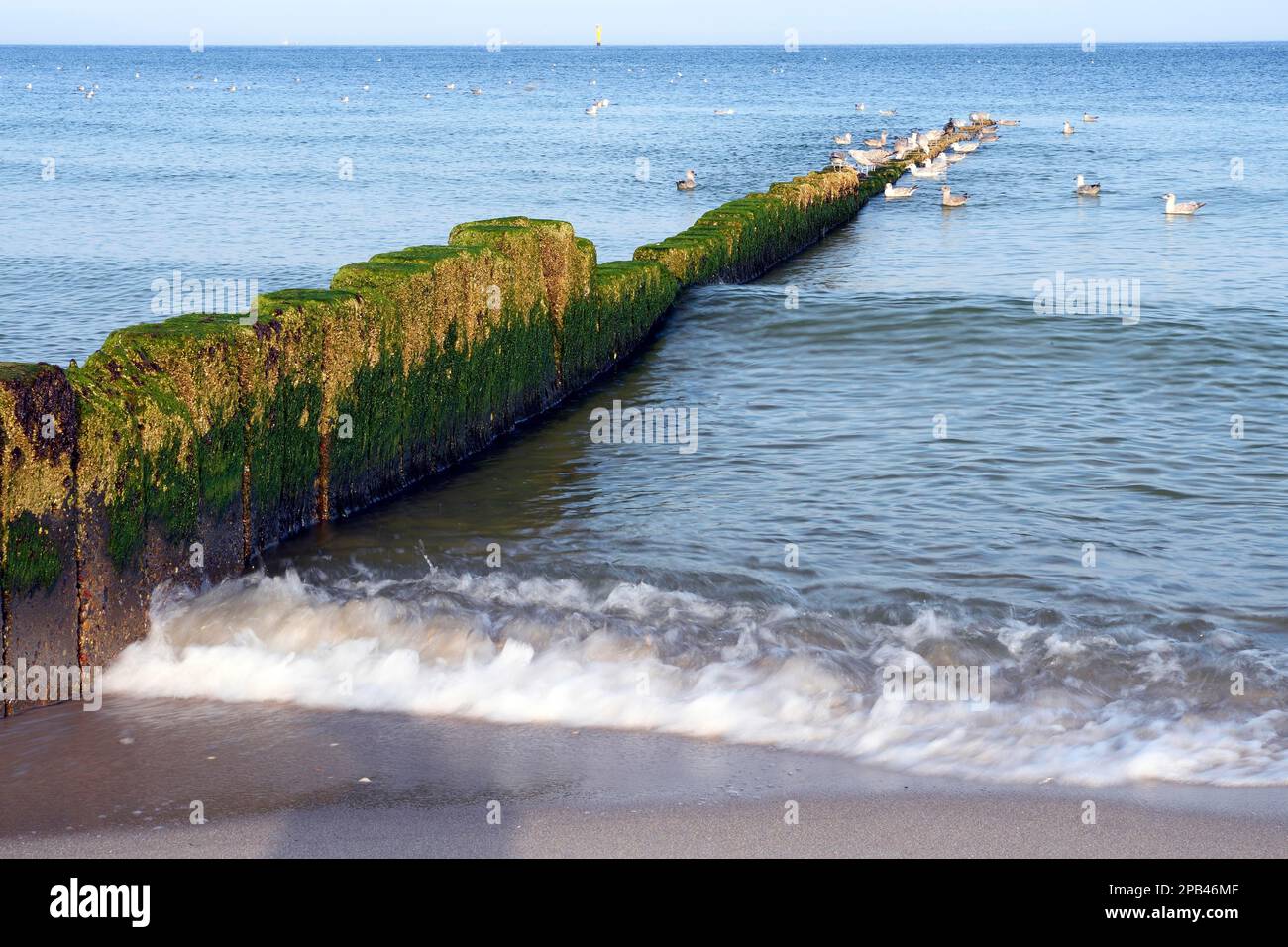 Concrete groynes hi-res stock photography and images - Alamy