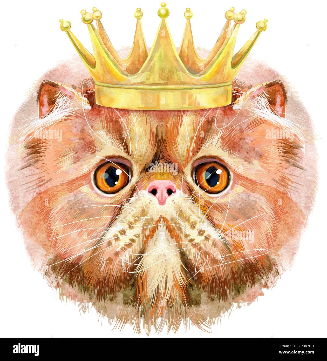Cute cat in golden crown. Cat for t-shirt graphics. Watercolor Exotic ...