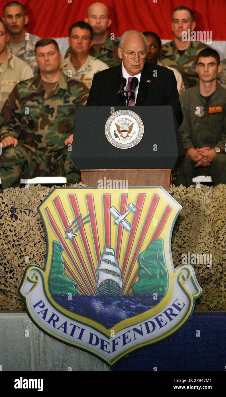 Vice President Dick Cheney speaks at MacDill Air Force Base in Florida ...