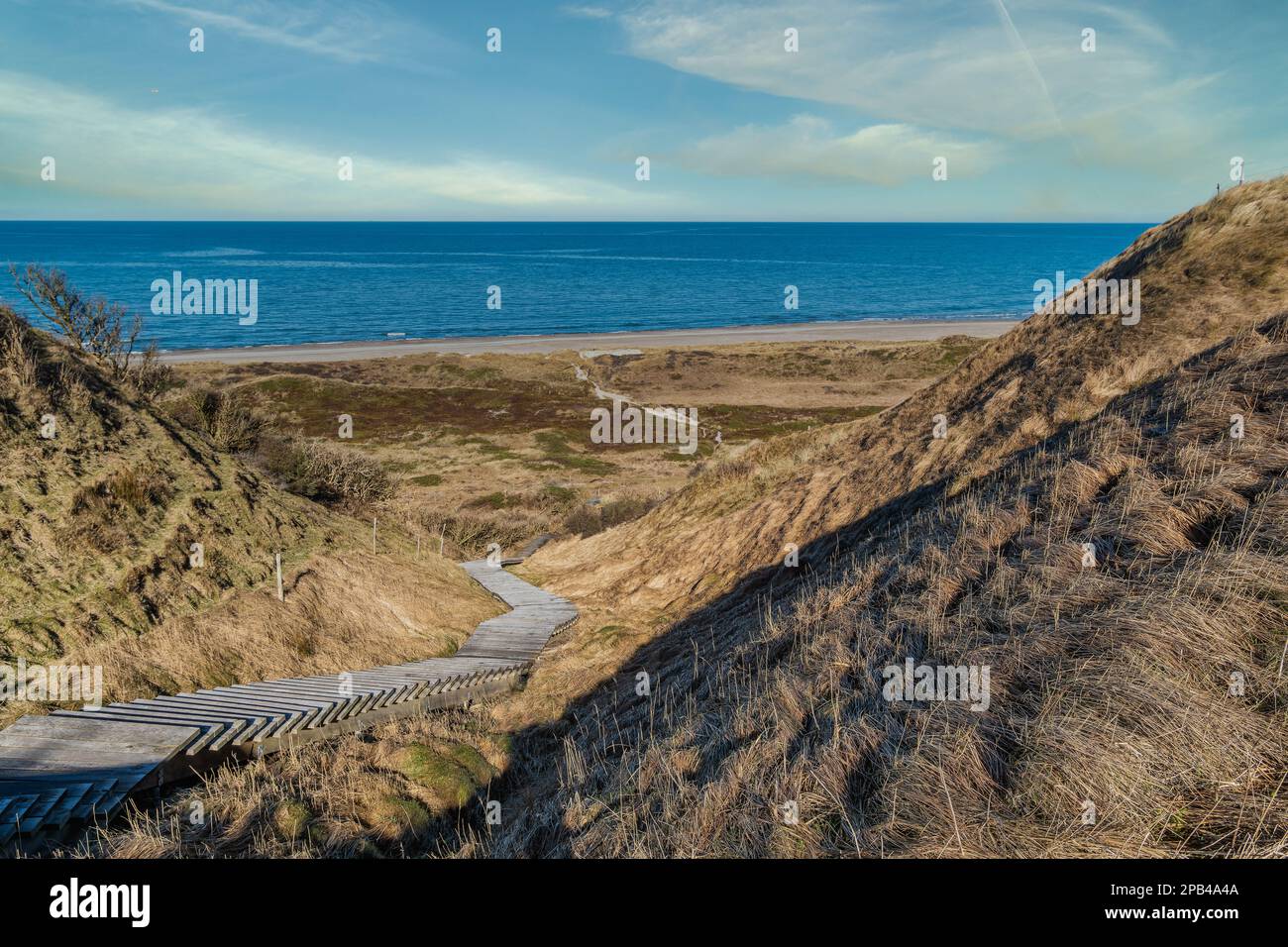 Svinkllovene dunes at the North Sea coast in Thy Denmark Stock Photo ...