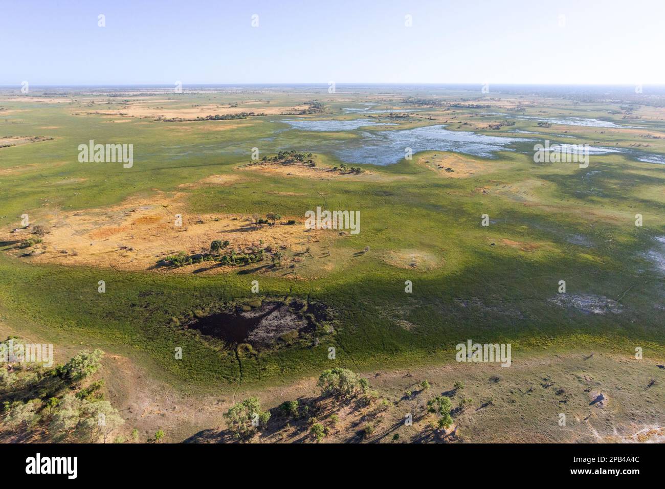 Aerial view of the countryside, animal paths, tree and green grassland ...