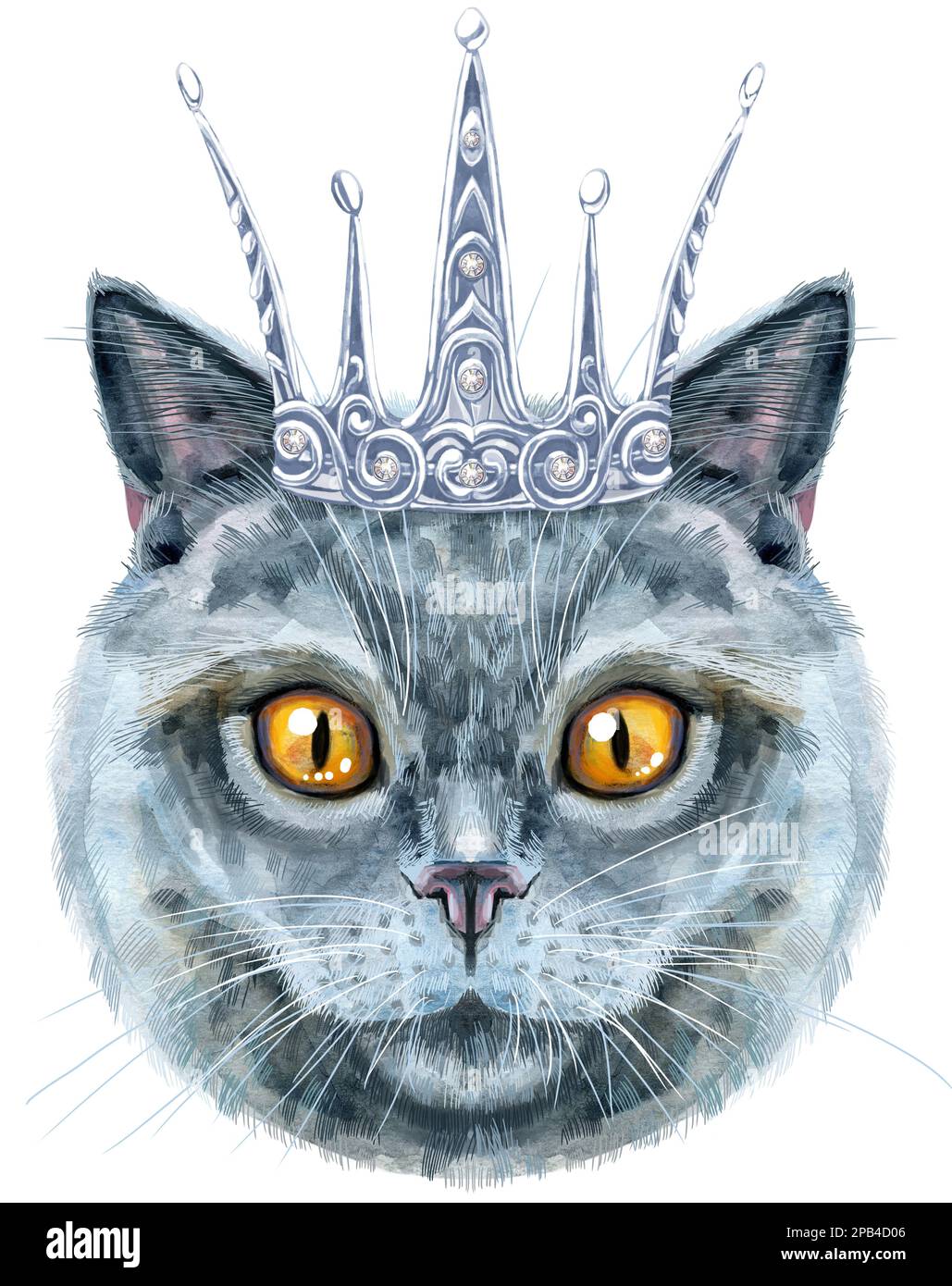 Cute cat in silver crown. Cat for t-shirt graphics. Watercolor British ...