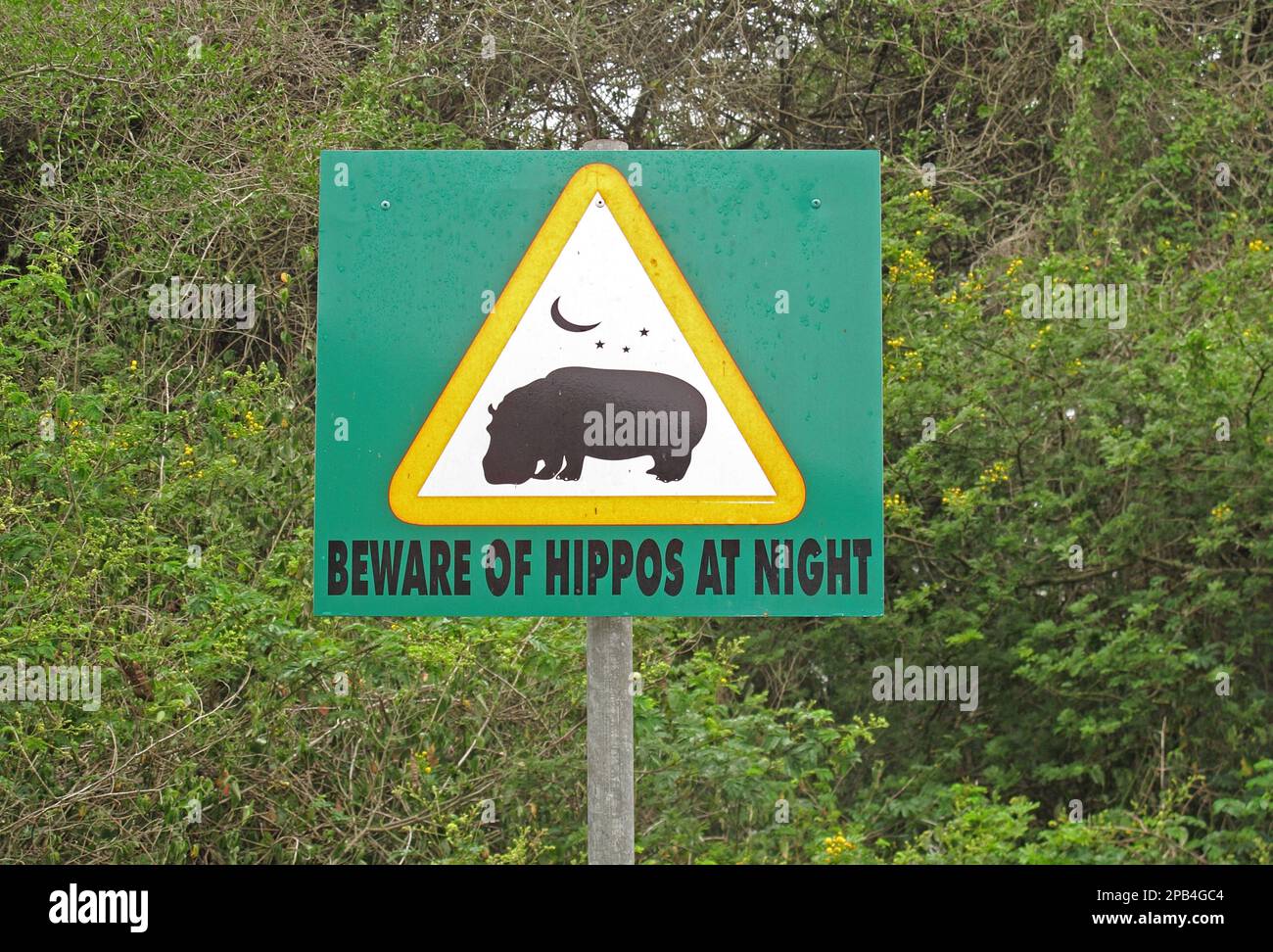 Warning sign Beware of Hippos at Night,), KwaZulu-Natal, South Africa ...