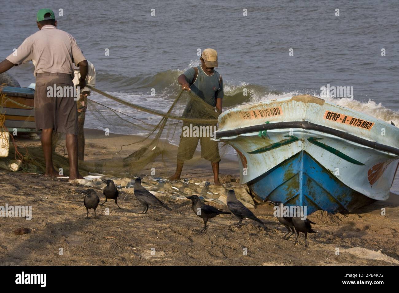 Hunt feed cutter hi-res stock photography and images - Alamy