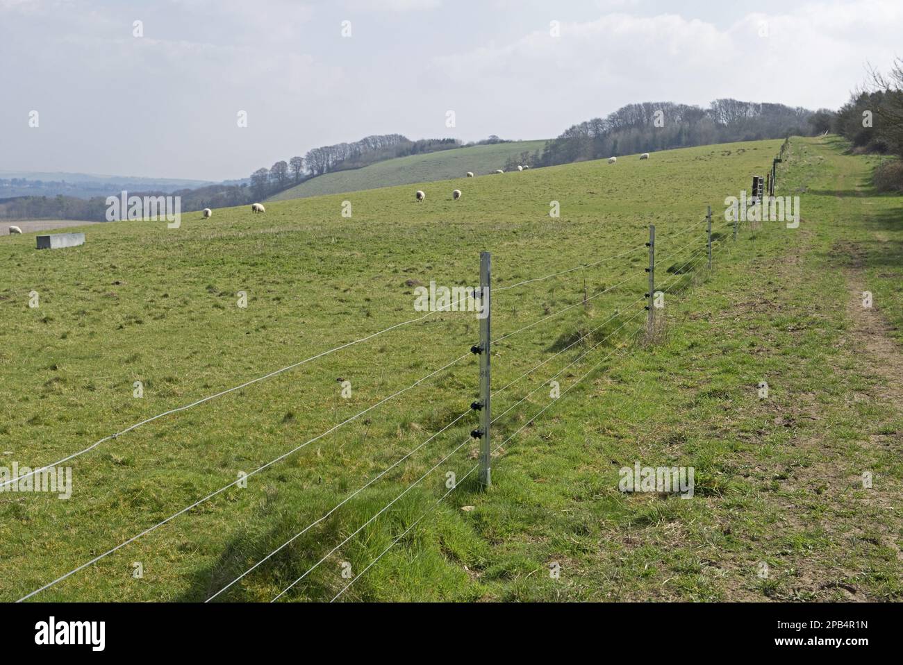 New electric fence with galvanised steep posts and insulators on ...
