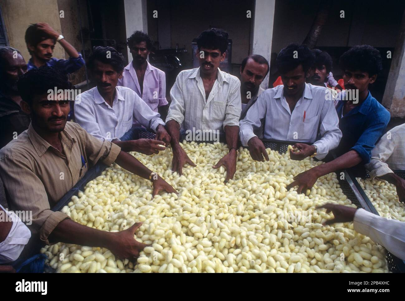 Largest butterfly of india hi-res stock photography and images - Alamy