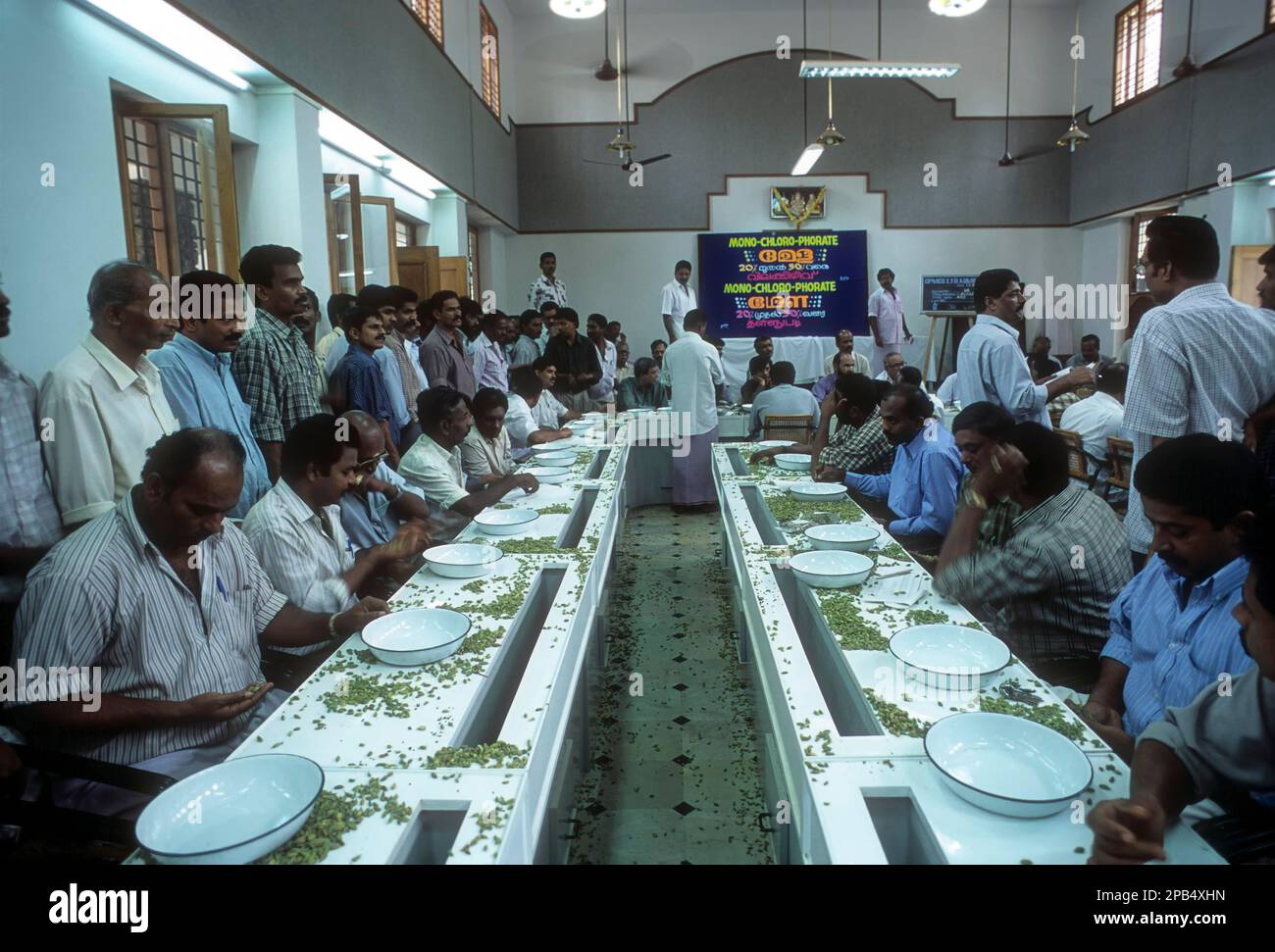 Cardamom auction in cardamom processing and marketing company ltd at ...