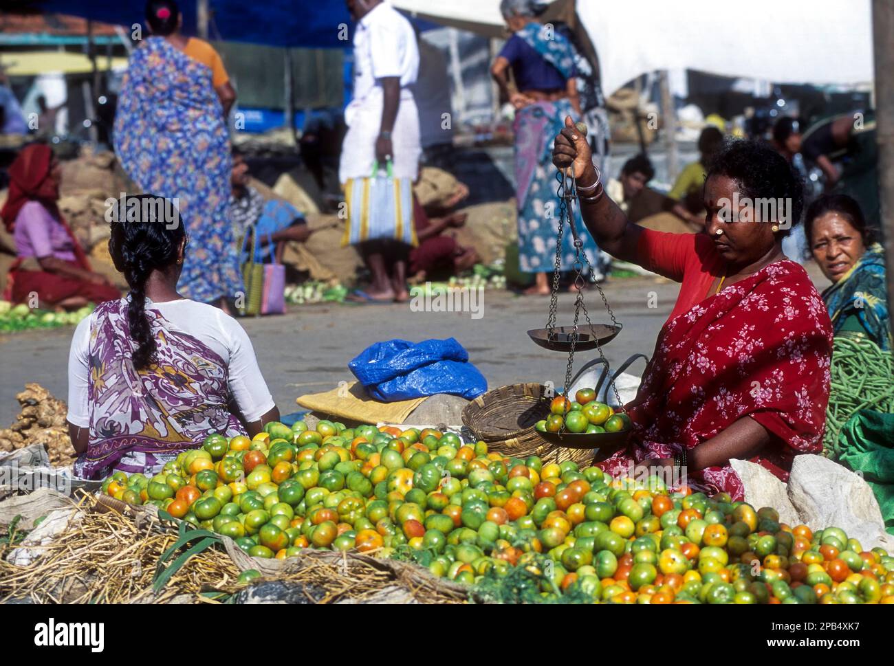 Weekly market at Pollachi near Coimbatore in Tamil Nadu, India, Asia ...