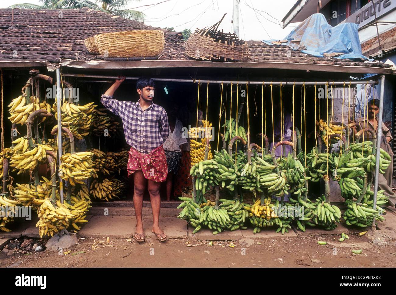 Banana shop at Tirur in Malappuram, Kerala, India, Asia Stock Photo - Alamy