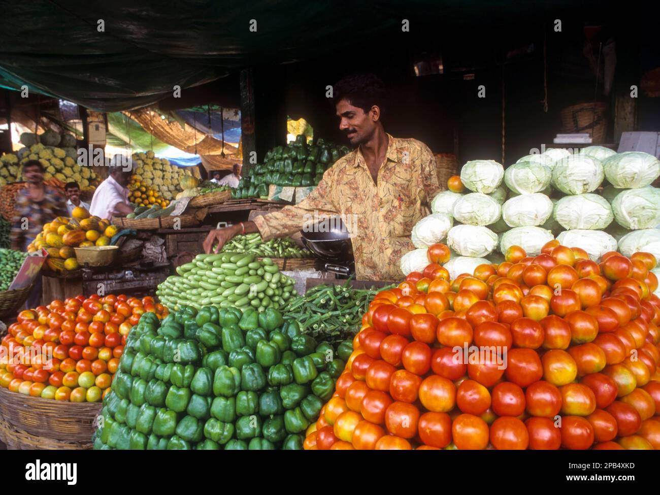 Vegetable shop at Devaraja market in Mysore, Karnataka, India, Asia ...