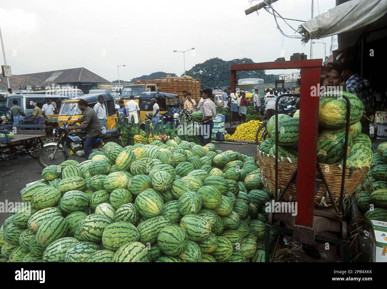 Watermelon for sale at Koyambedu whole sale vegetable and fruit market ...