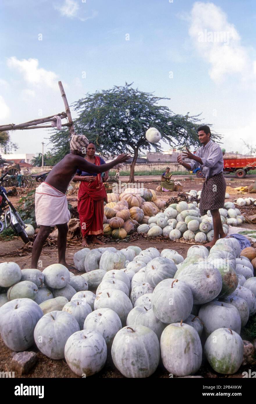 Weekly market at Perundurai near Erode, Tamil Nadu, India, Asia Stock ...