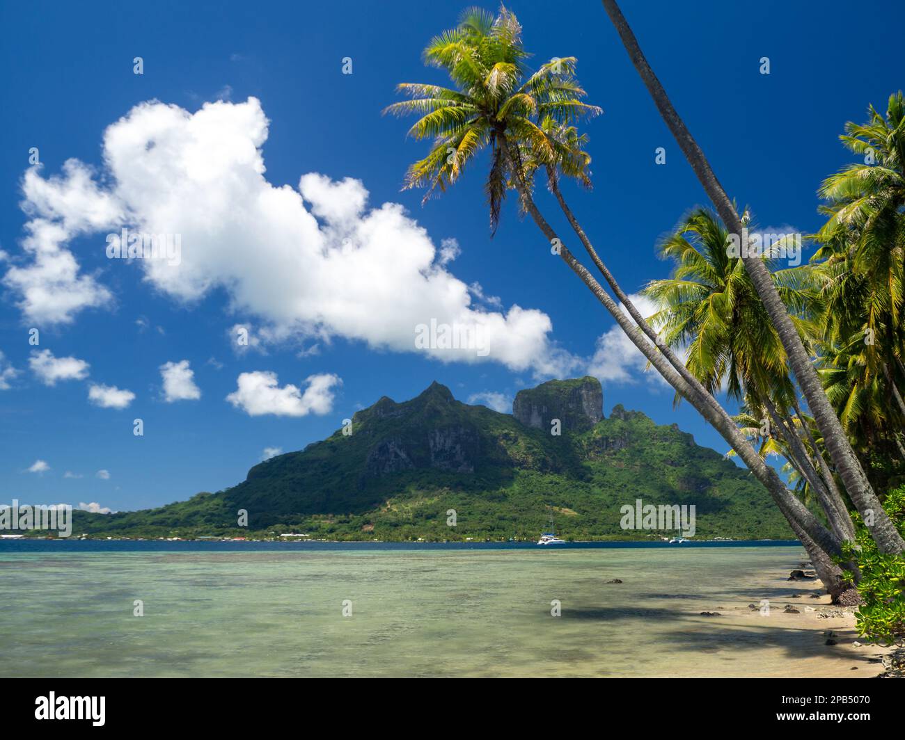 Tahiti island nature landscape, French Polynesia Stock Photo - Alamy