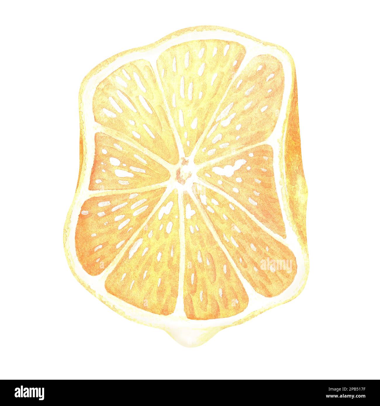 Squeezed lemon with juice flowing from it. Watercolor illustration ...