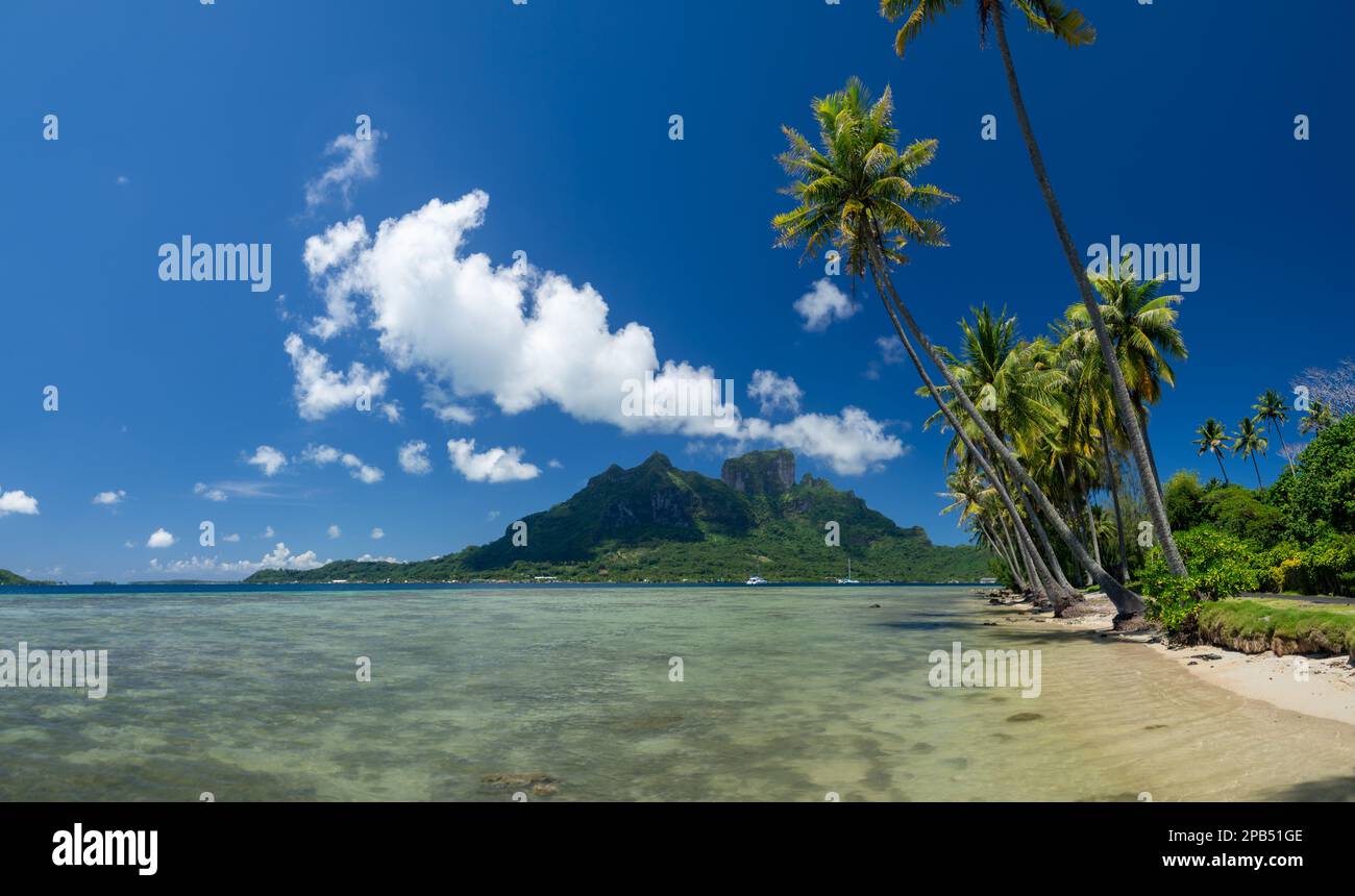 Tahiti island nature landscape, French Polynesia Stock Photo - Alamy
