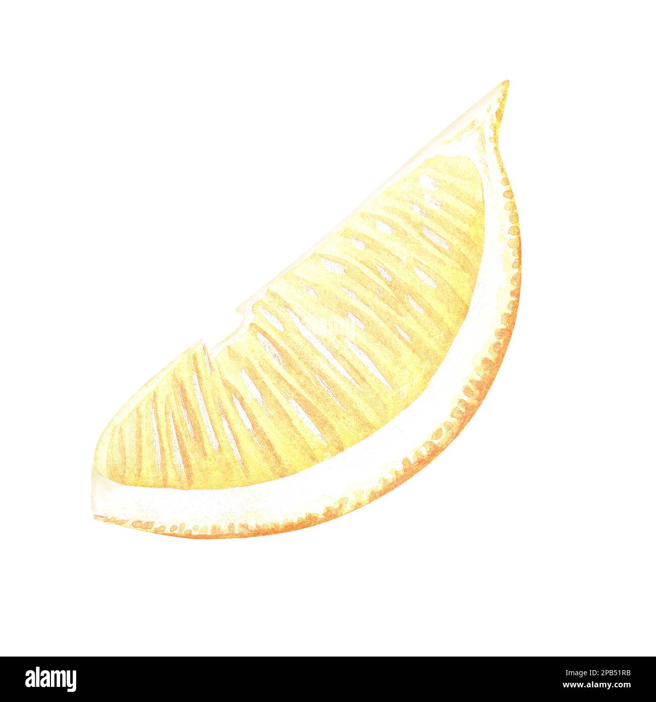 Slice of lemon. A piece of citrus. Watercolor illustration. Isolated on ...