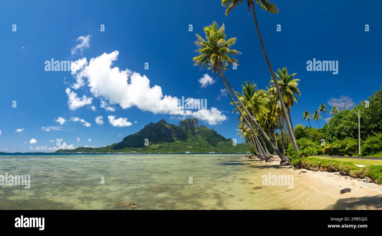 Tahiti island nature landscape, French Polynesia Stock Photo - Alamy