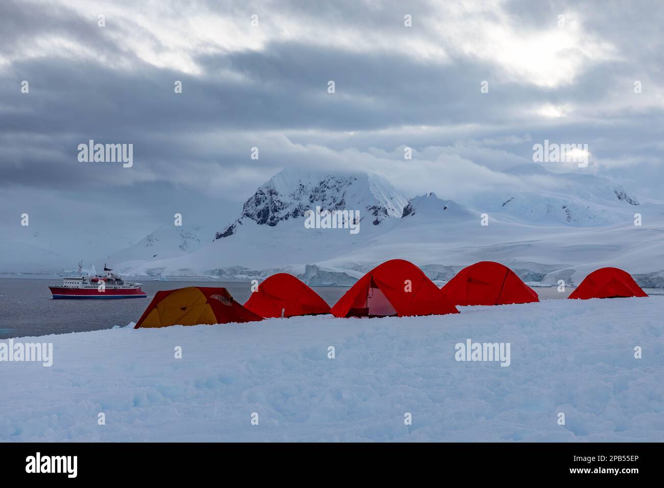 Camping in Antarctica on an expedition to Portal Point Stock Photo - Alamy
