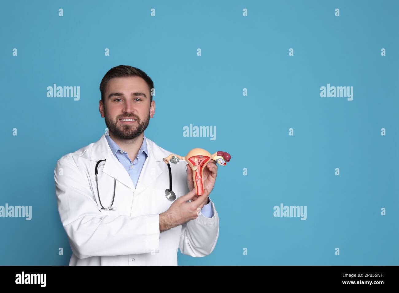 Doctor demonstrating model of female reproductive system on light blue ...