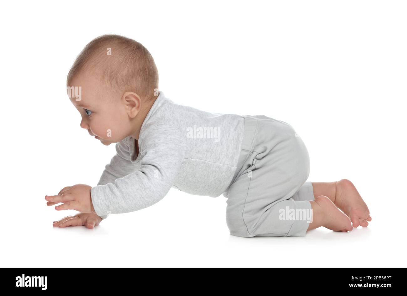 Cute little baby crawling on white background Stock Photo - Alamy