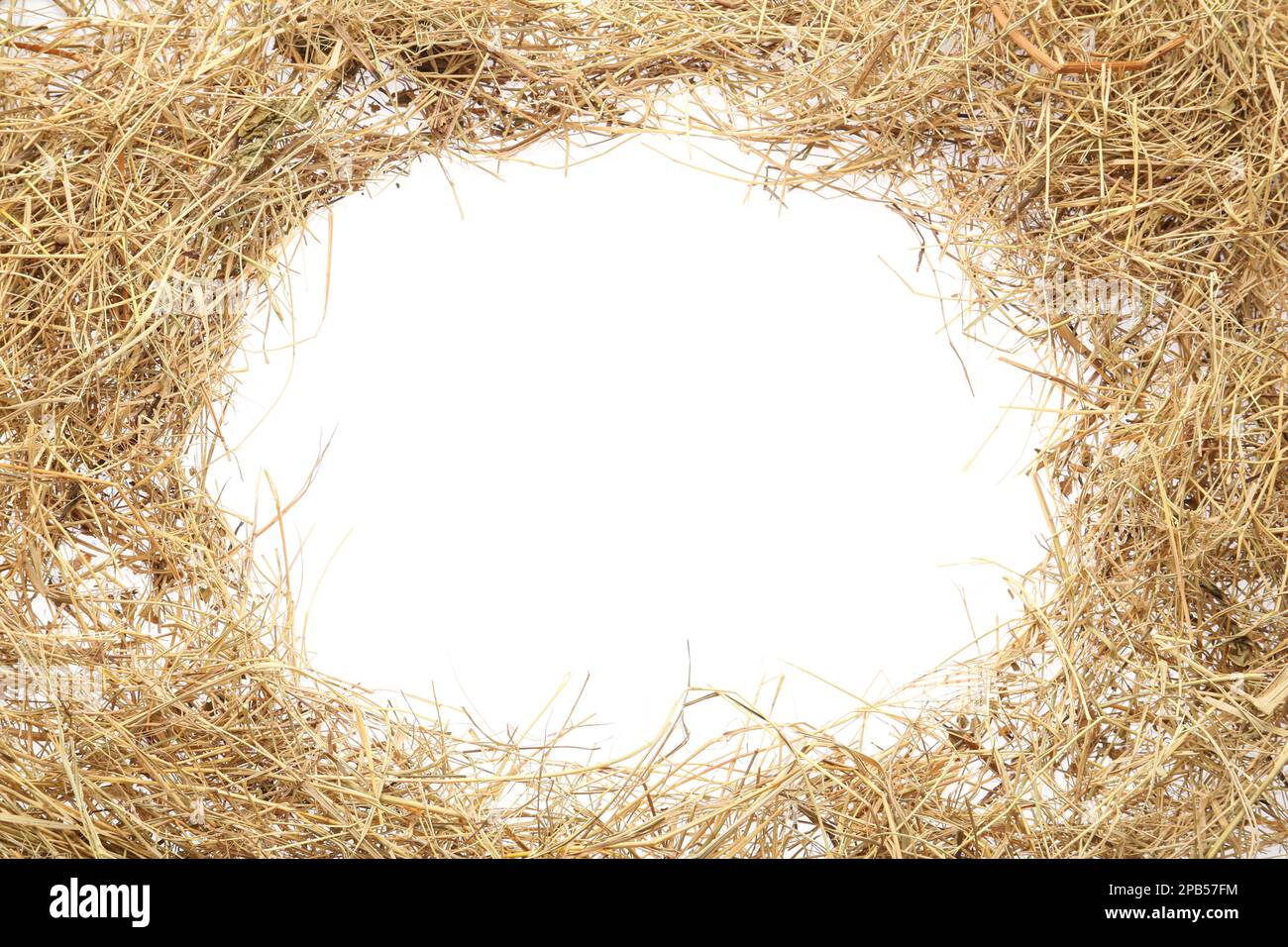 Frame made of dried hay on white background, top view. Space for text ...
