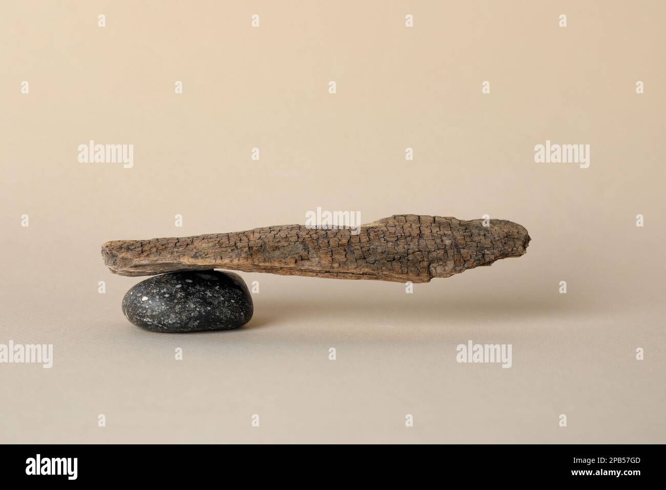 Stone with tree branch on beige background. Harmony and balance concept ...