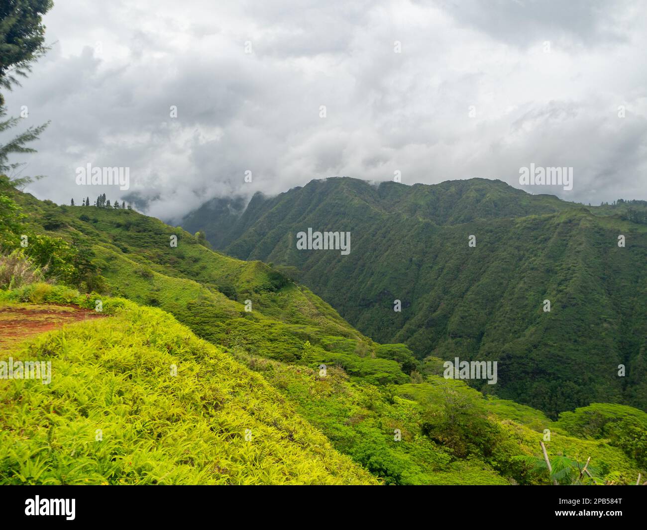 Tahiti island nature landscape, French Polynesia Stock Photo - Alamy