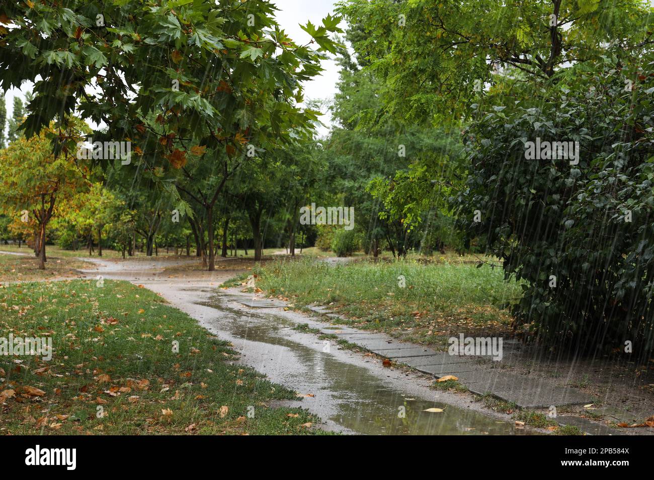 Pouring rain falling ground in hi-res stock photography and images - Alamy