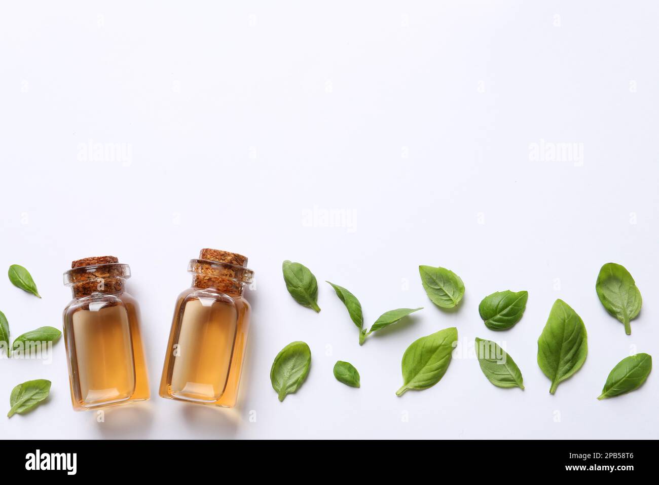 Bottles of essential basil oil and fresh leaves on white background ...