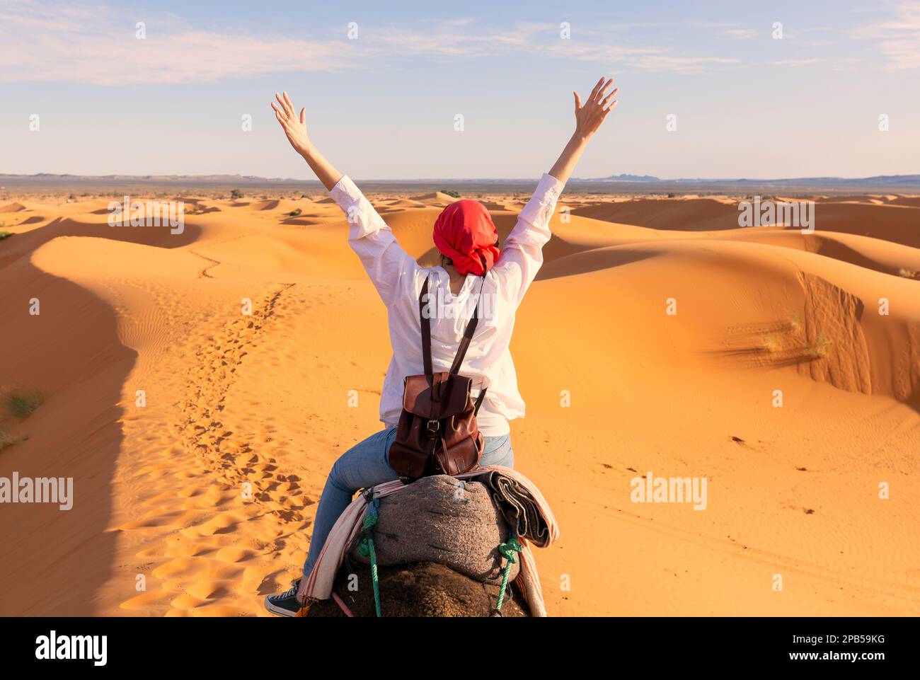 Desert safari at the Thar desert Jaisalmer, Rajasthan, India Stock ...