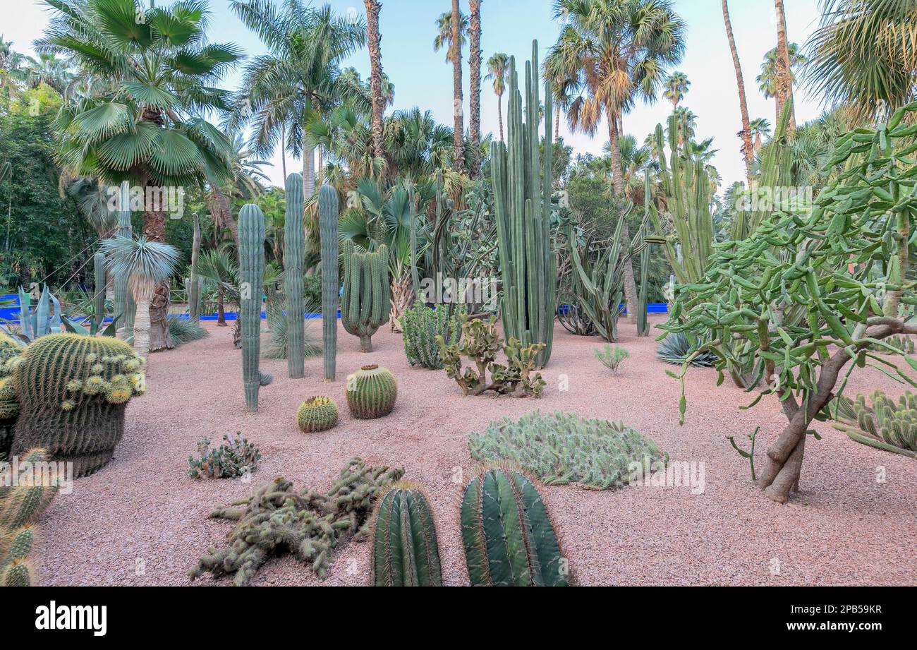 Botanical garden Jardin Majorelle in Marrakesh (Morocco Stock Photo - Alamy