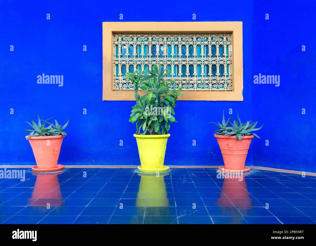 The Moroccan still life: two yellow flower pot of aloe on the ...